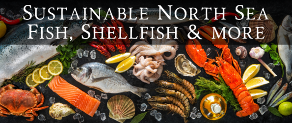 John Davidsons- The Online Specialist Butcher