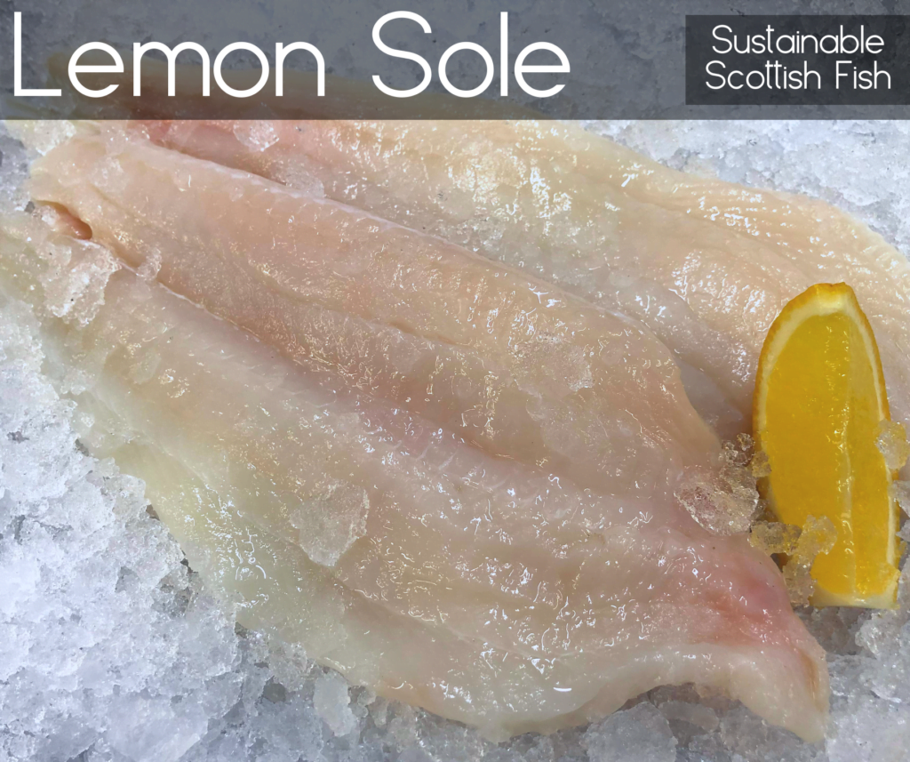 Lemon Sole Fillets - John Davidsons