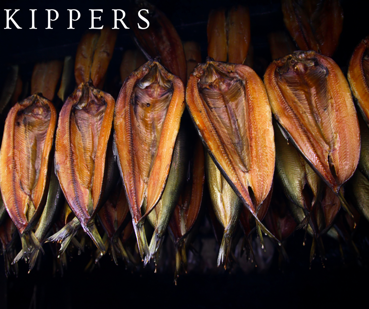 Fish and Shellfish - John Davidsons