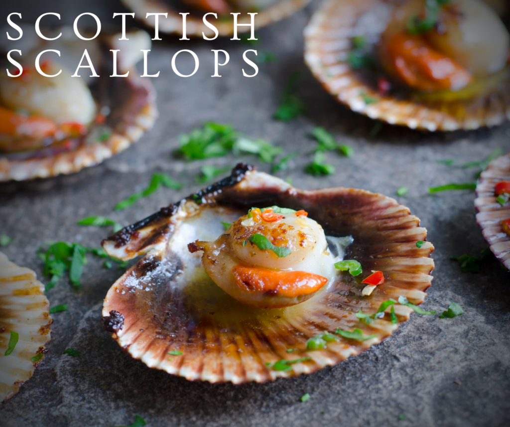 Fish - John Davidsons